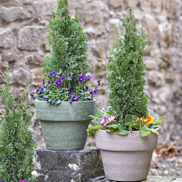 Events | Dobbies Garden Centres